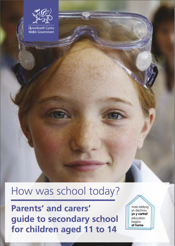 Parents' & Carers' Guide to Secondary School - Cathays High School ...